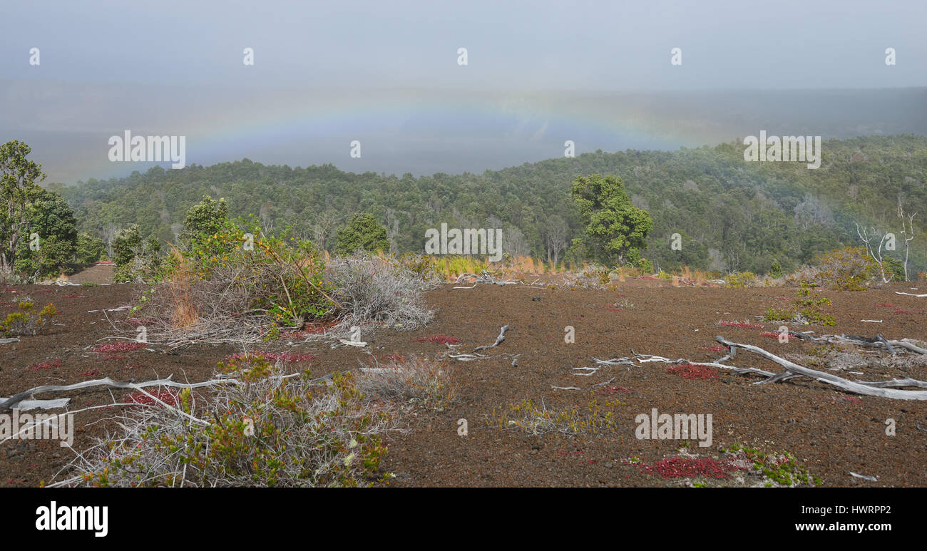 Rainbow over the old lava field trail in Volcanoes National Park, Big ...
