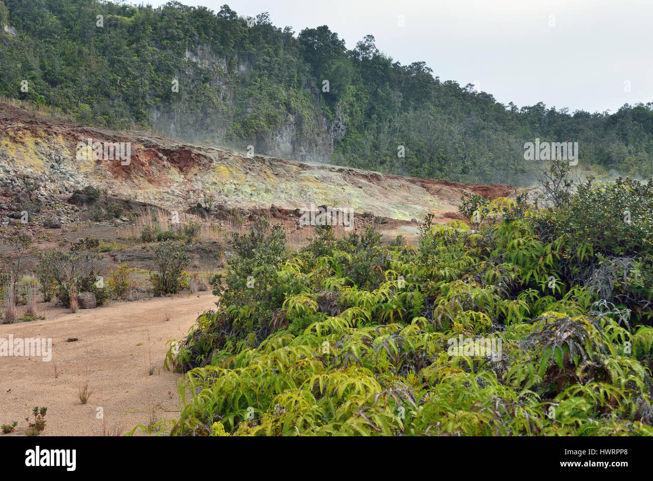trail through the sulphur vents in Volcanoes National Park, Big Island ...