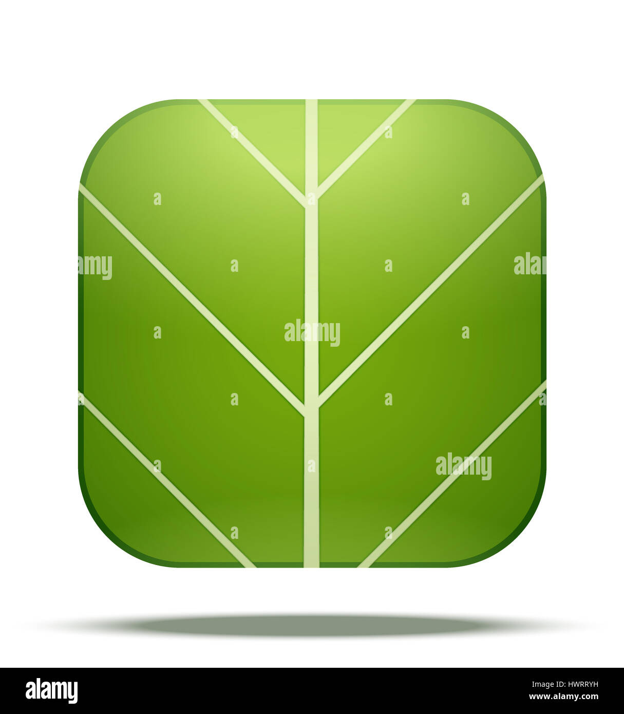 Green Leaf Square Icon. Illustration isolated on white background Stock ...