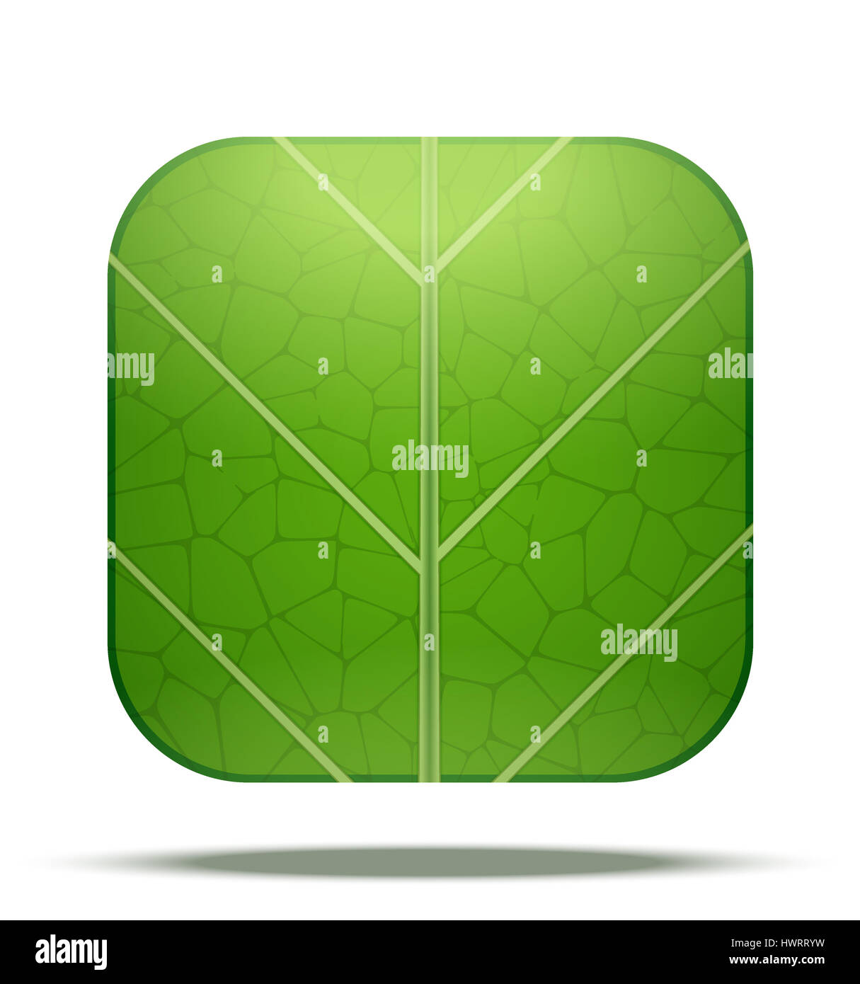 Green Leaf Square Icon. Illustration isolated on white background Stock ...
