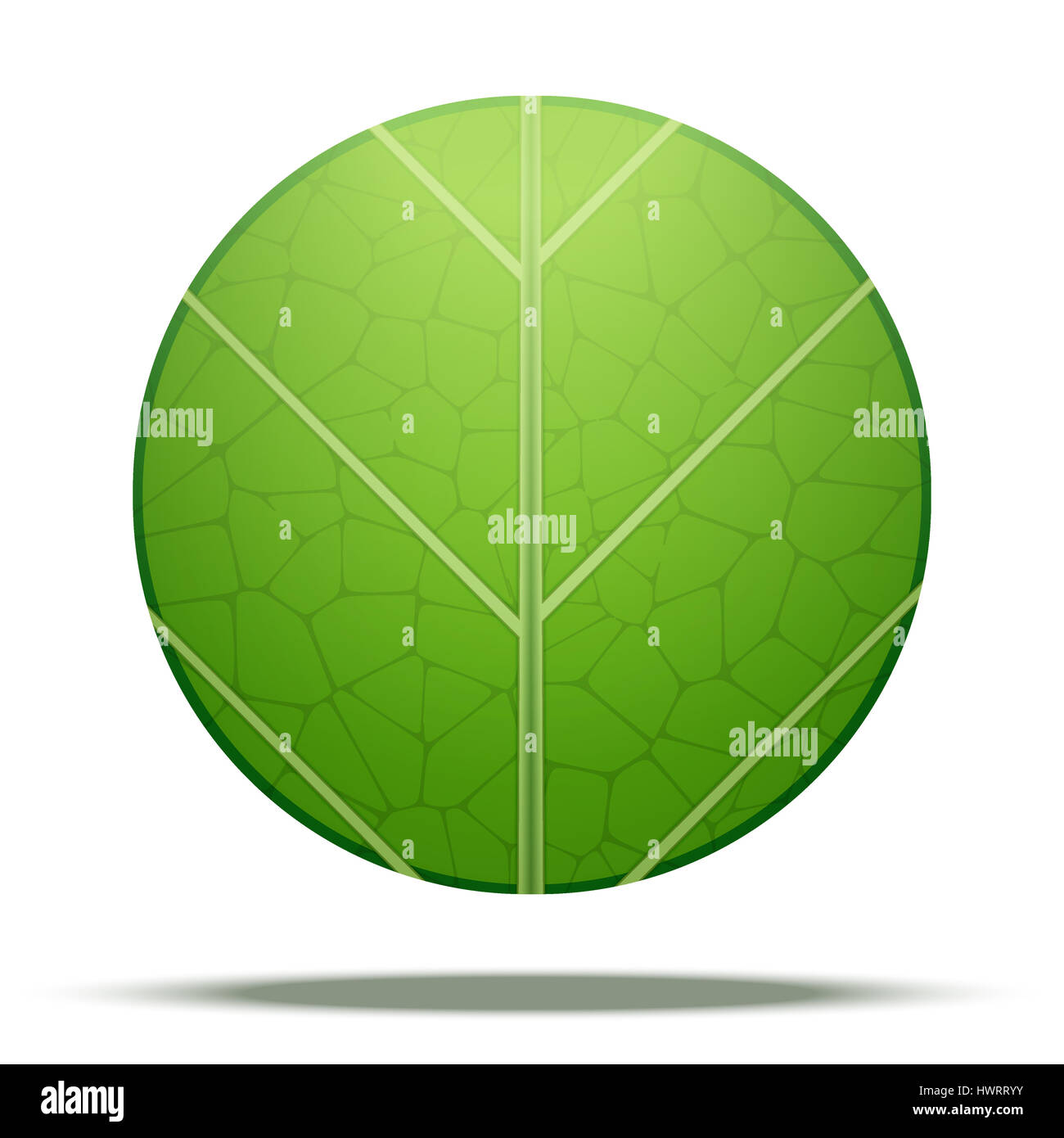 Green Leaf Round Icons Nature and bio label. Illustration isolated on ...