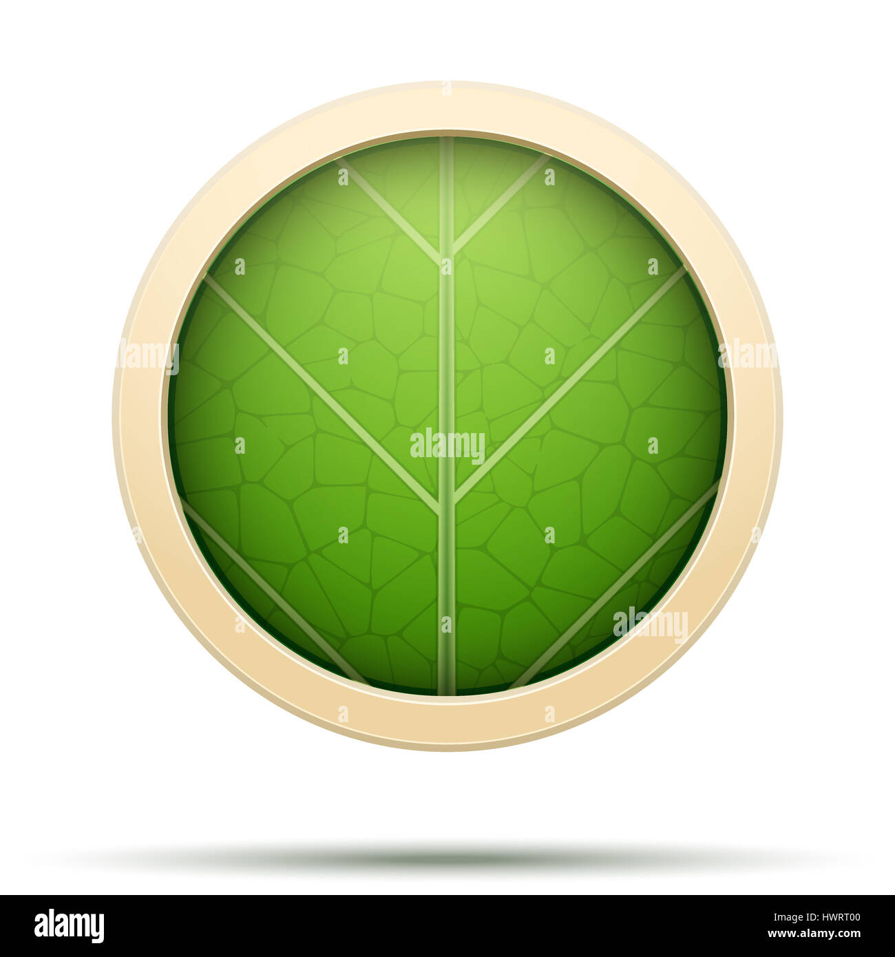 Green Leaf Round Icons Nature and bio label. Illustration isolated on ...