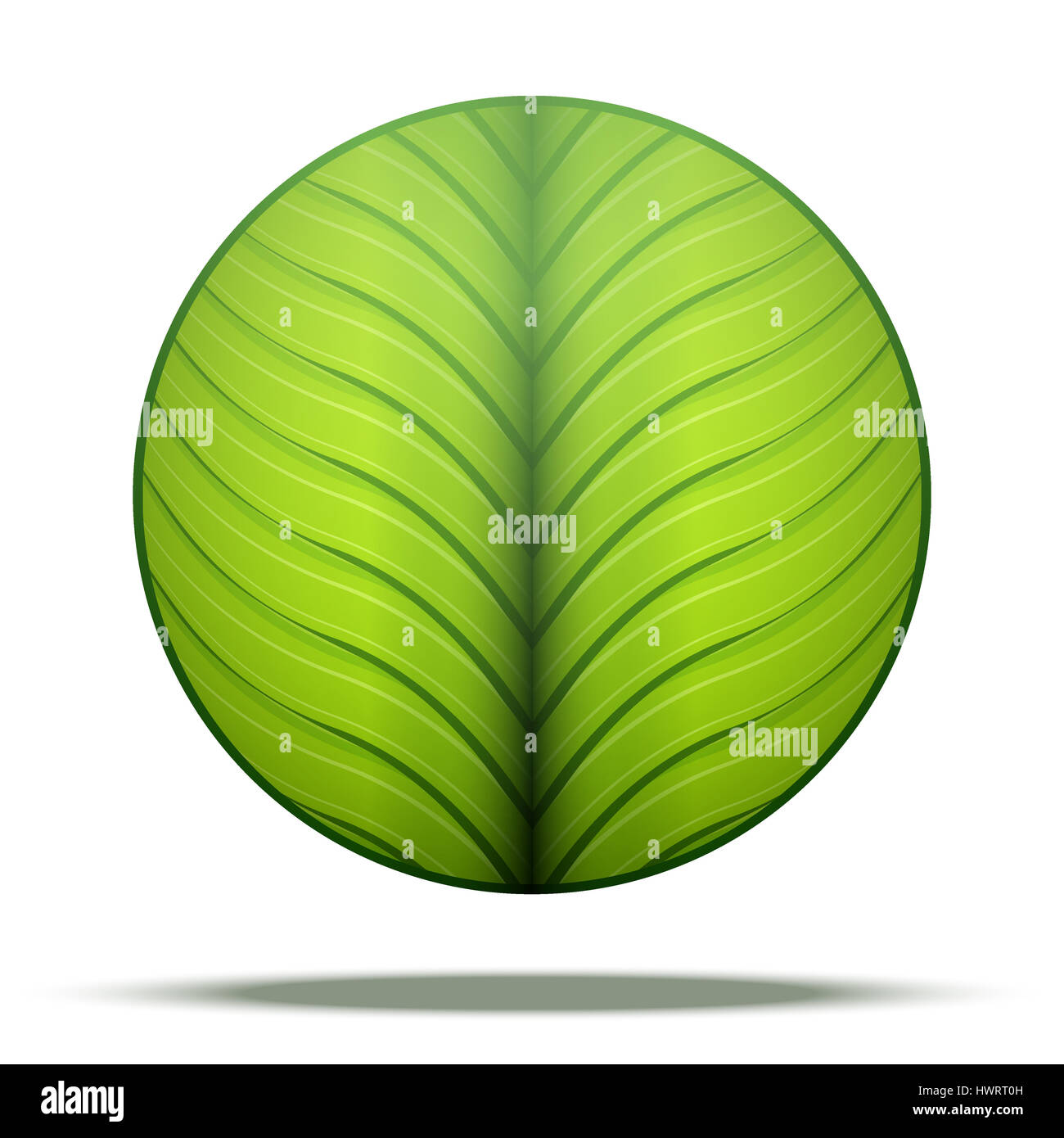 Green Leaf Round Icons Nature and bio label. Illustration isolated on ...