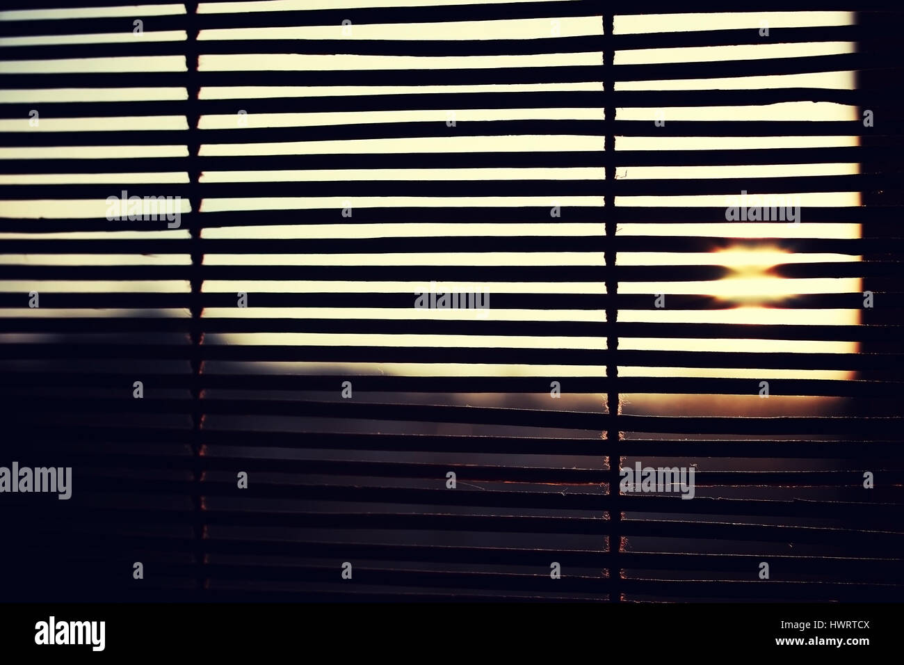 sun is shining through wood blinds Stock Photo - Alamy