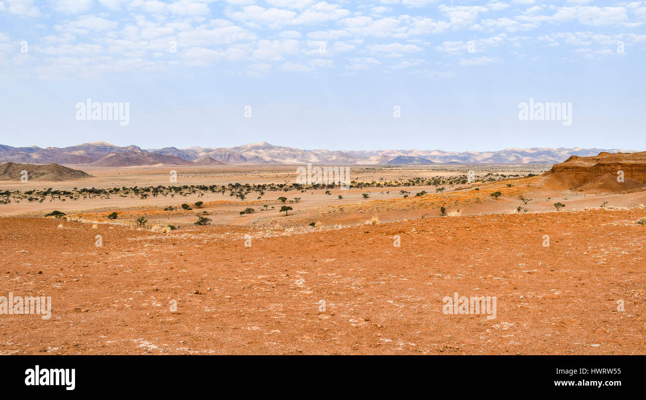 sandy savanna scenery seen in Namibia, Africa Stock Photo - Alamy