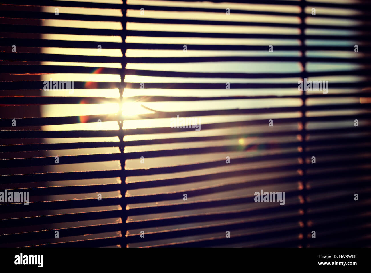 sun shining through the blinds Stock Photo - Alamy