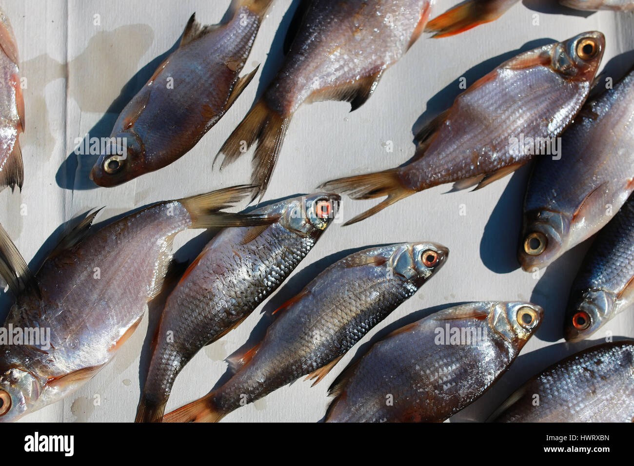 small fish on table Stock Photo - Alamy