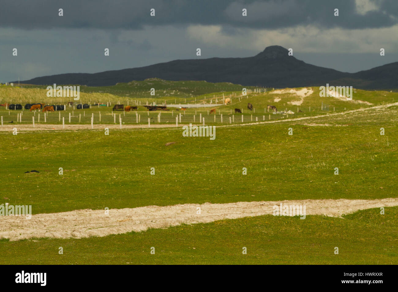 Strips of cultivated machir ,ploughed to be planted with Black Oates ...