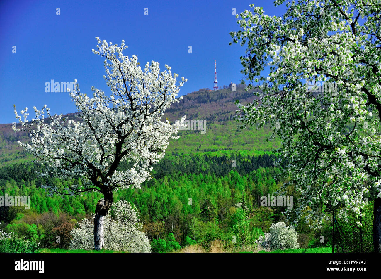 718 m above sea level, andscape, dolnoslaskie, landscape, mountain ...