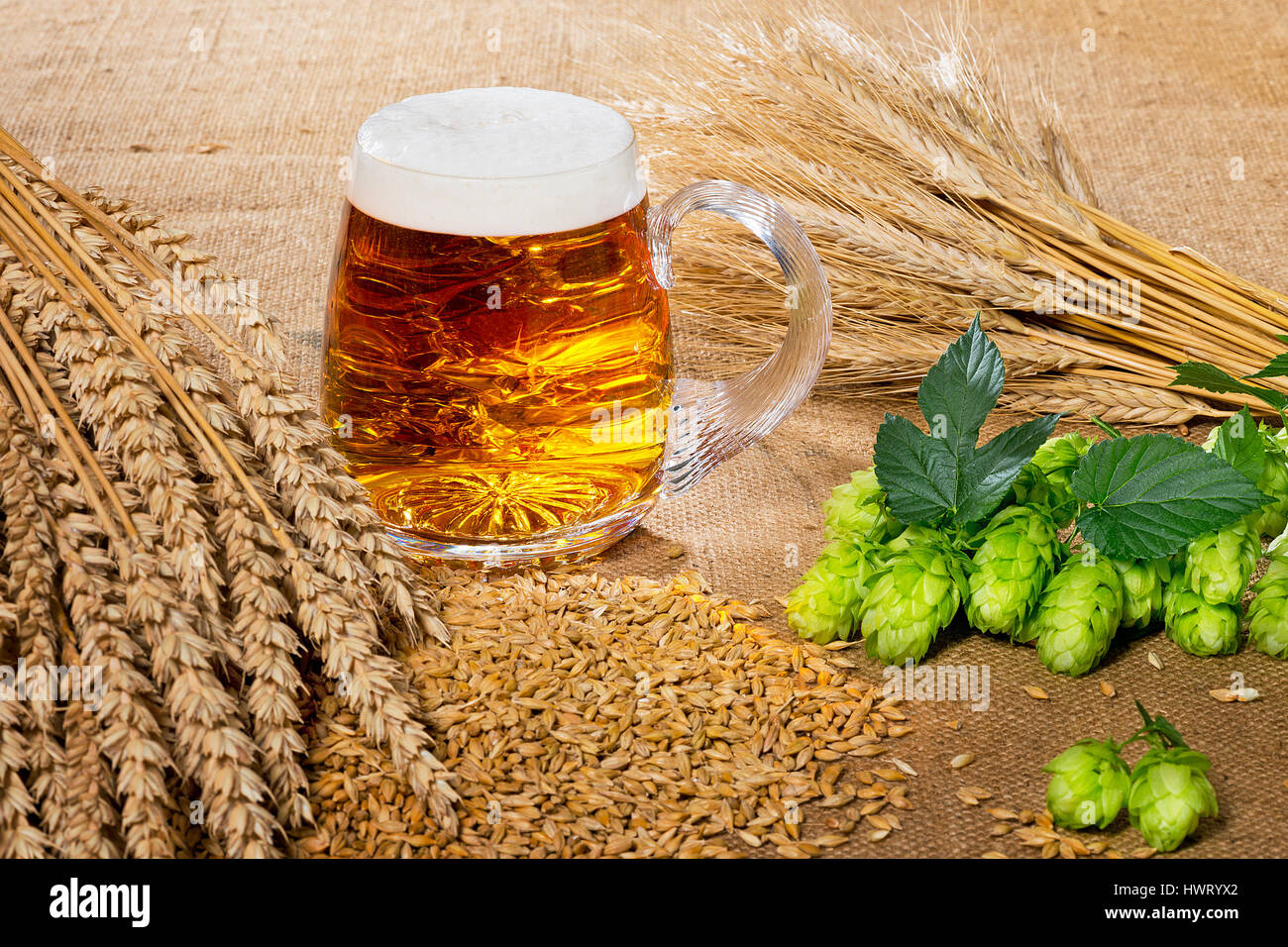 Beer raw material hi-res stock photography and images - Alamy