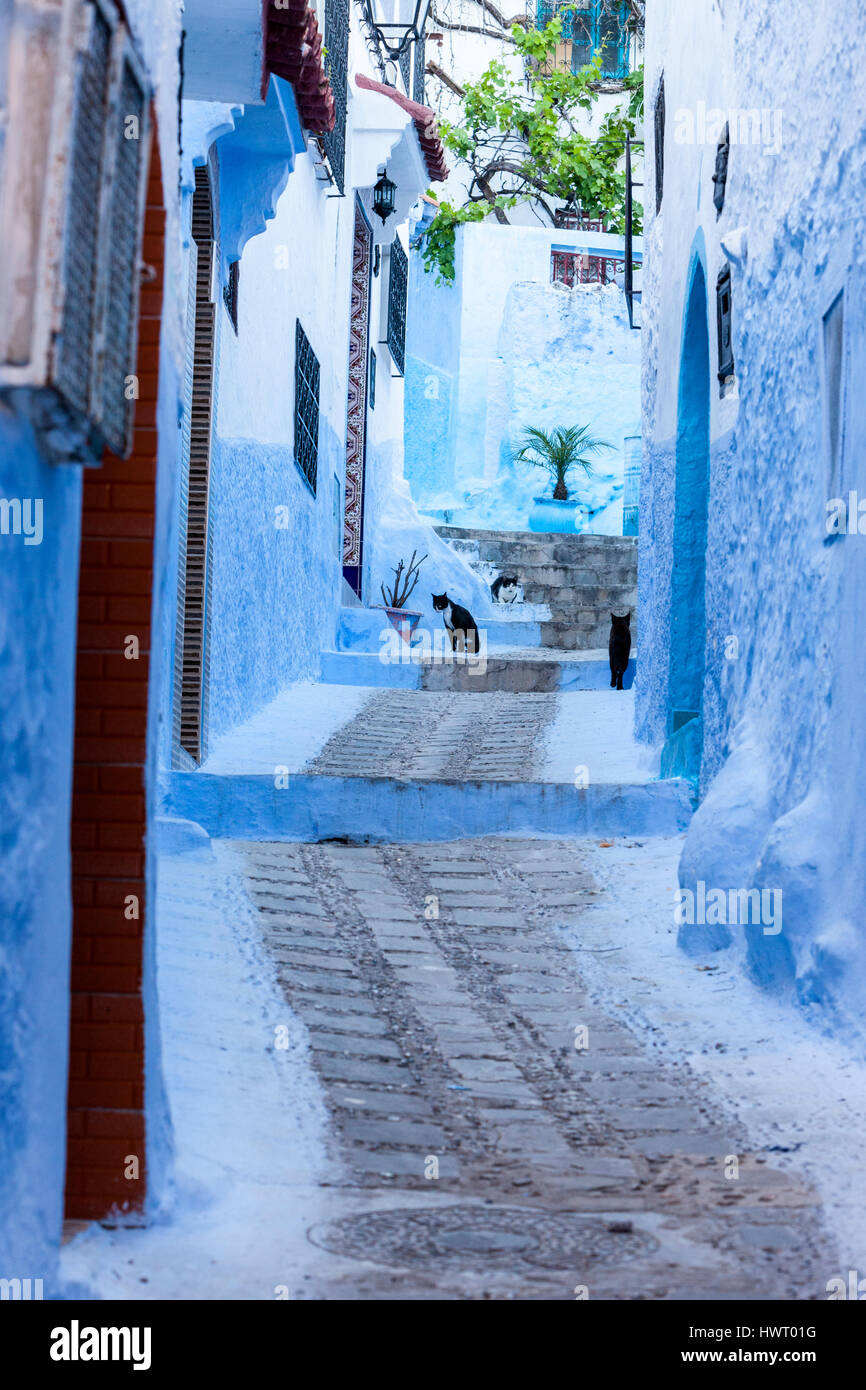 Chefchaouen street scene hi-res stock photography and images - Alamy