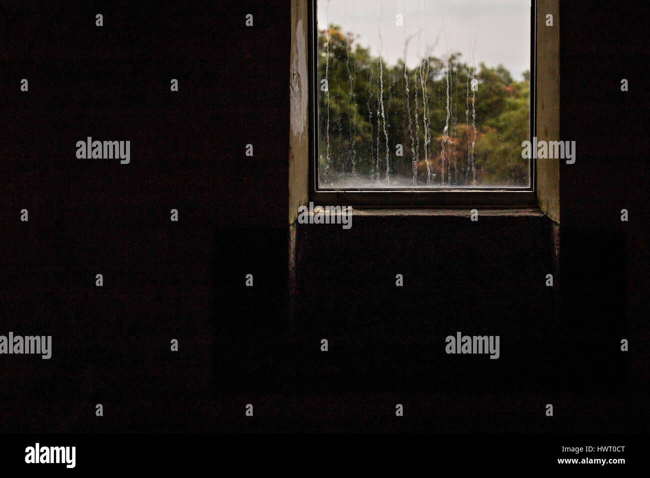 Trees seen through window Stock Photo - Alamy