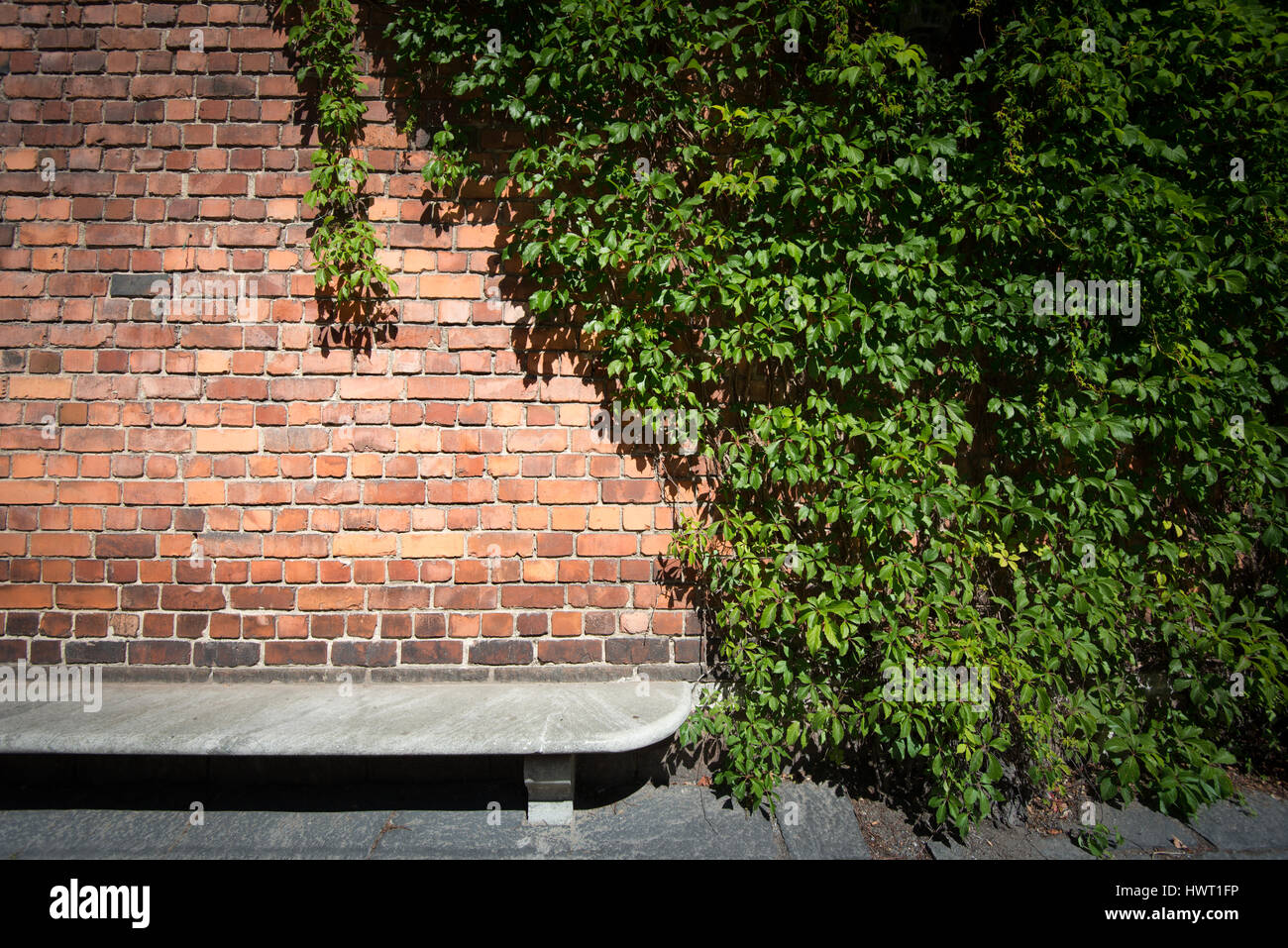 Wall of city hall (stadshuset) building covered by green in Stockholm ...
