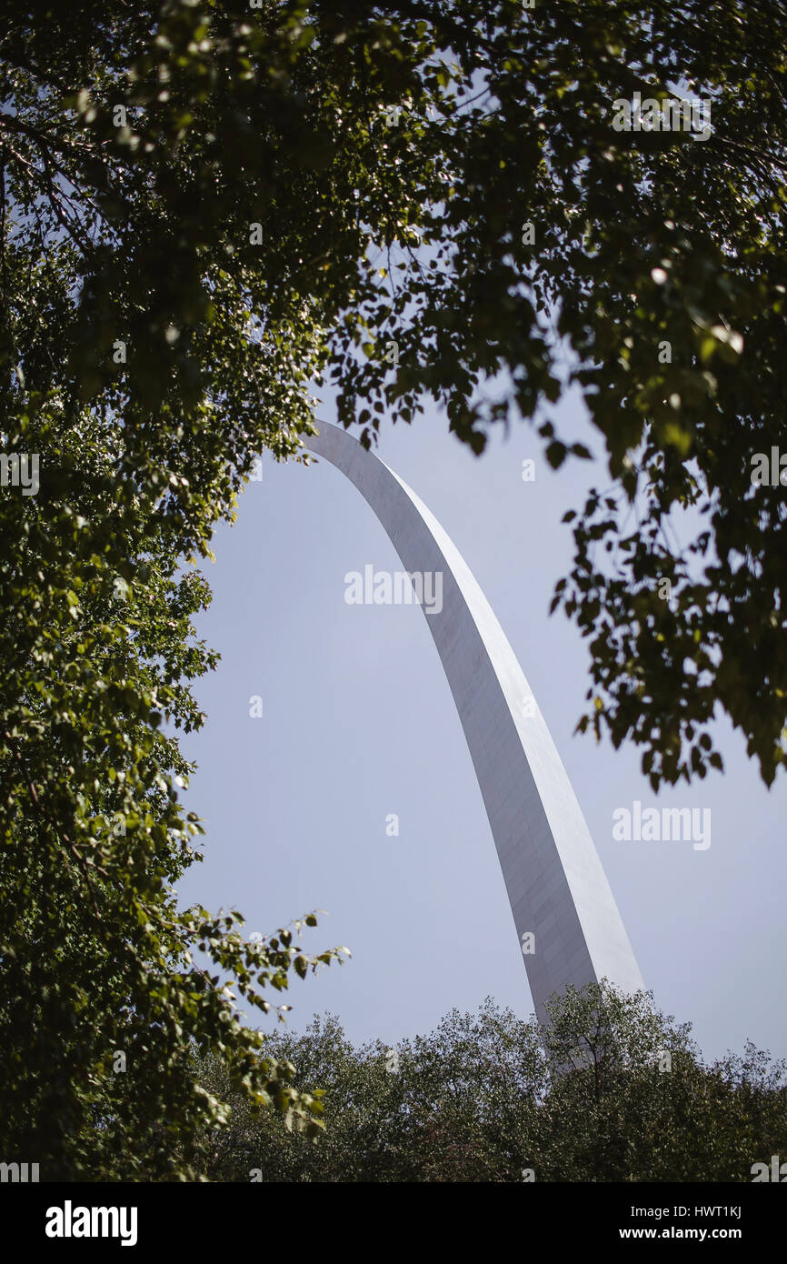 Gateway Arch seen through trees Stock Photo - Alamy
