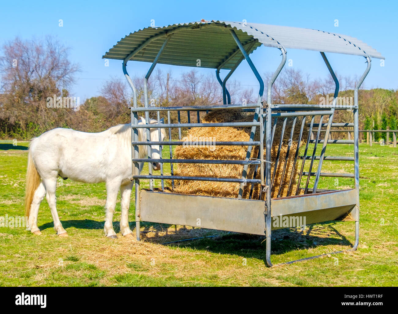 Horse Cage High Resolution Stock Photography and Images - Alamy