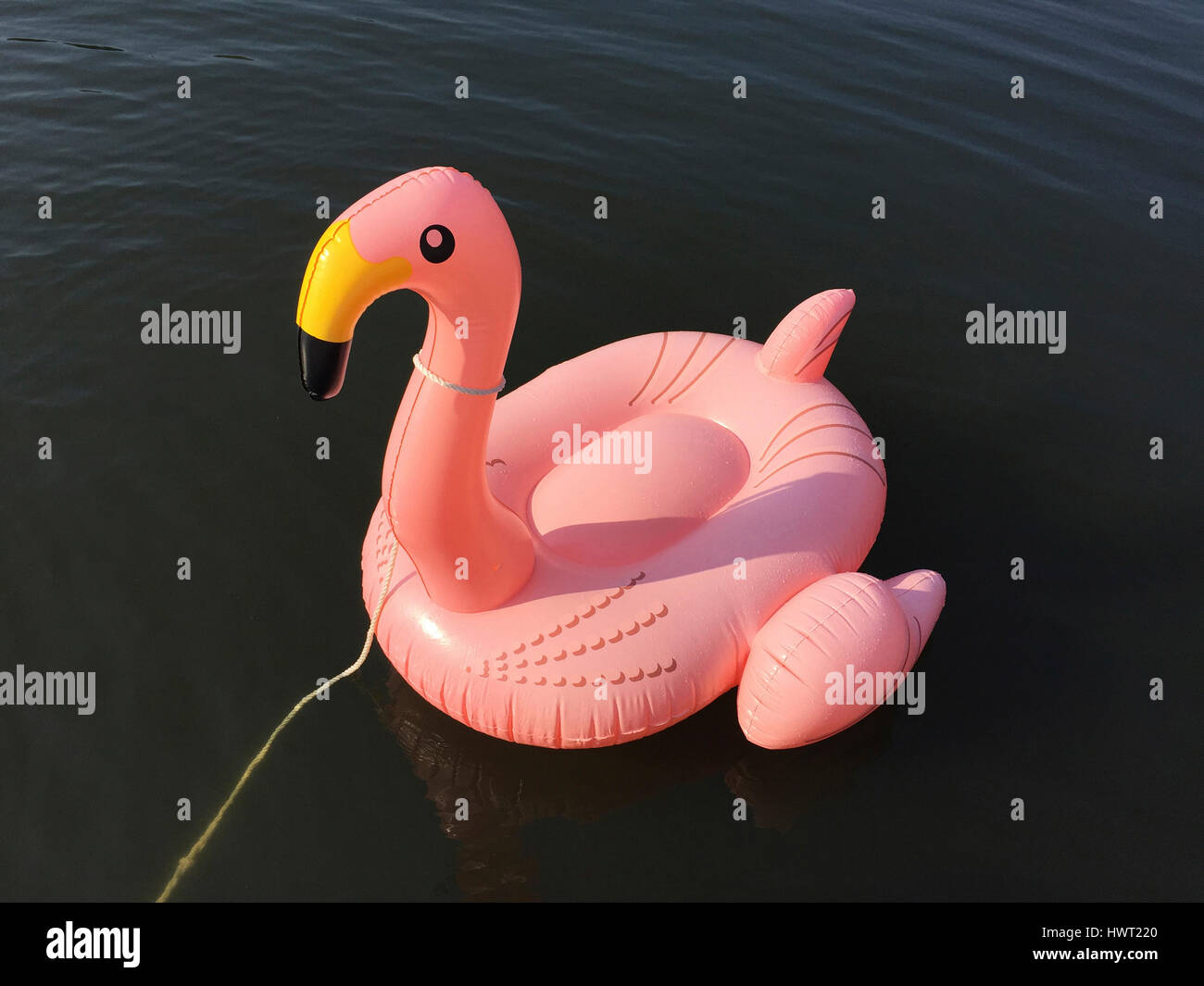 Inflatable swan hi-res stock photography and images - Alamy