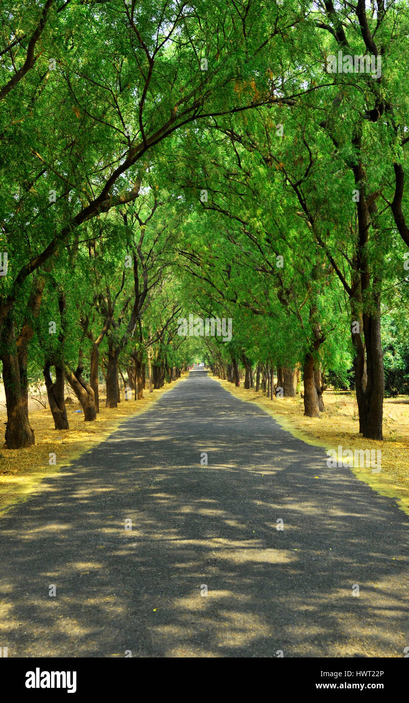 road scene Began, Myanmar Stock Photo - Alamy