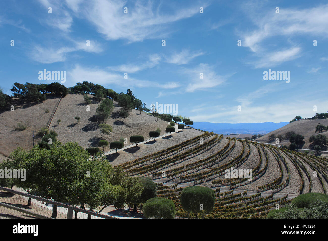 Vine Terrace High Resolution Stock Photography and Images - Alamy