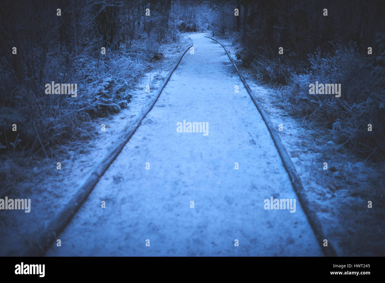 Snow covered pathway at Ordesa National Park Stock Photo - Alamy