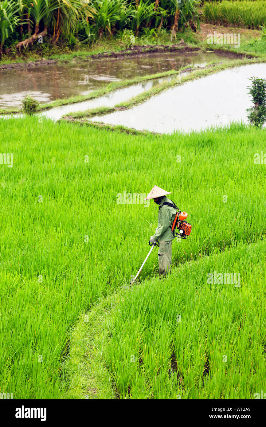 Farmer activity hi-res stock photography and images - Alamy