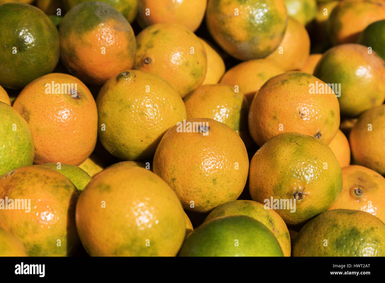 Oranges in market Stock Photo - Alamy