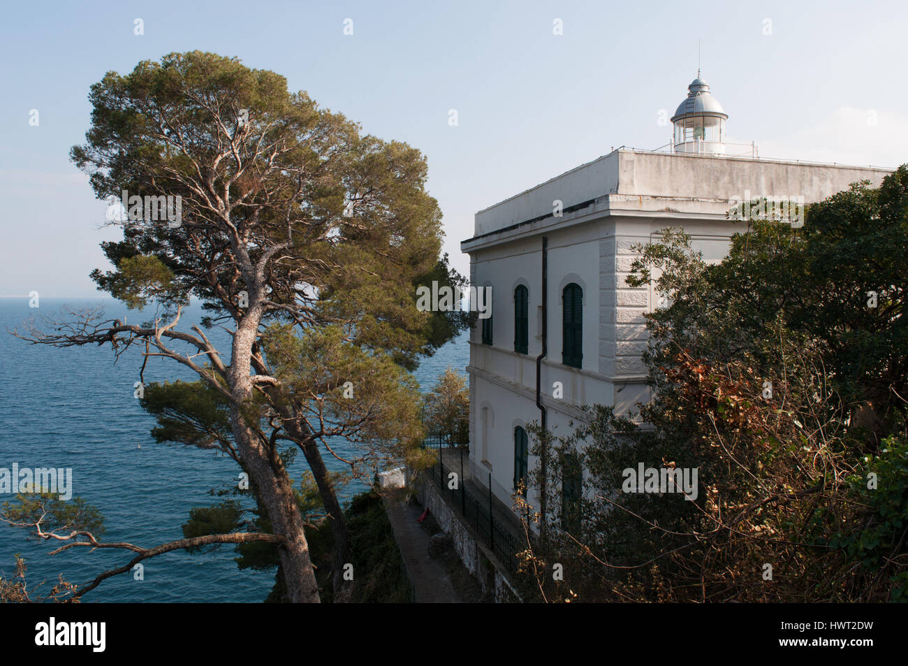 Punta Faro, Cape Lighthouse, Portofino, Italy: maritime pines and ...