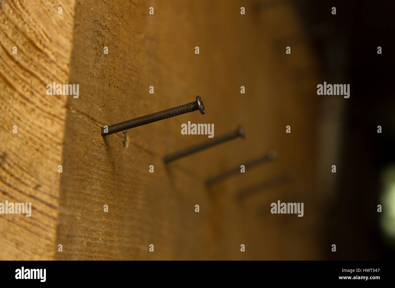 Hammered nails into the Board Stock Photo - Alamy