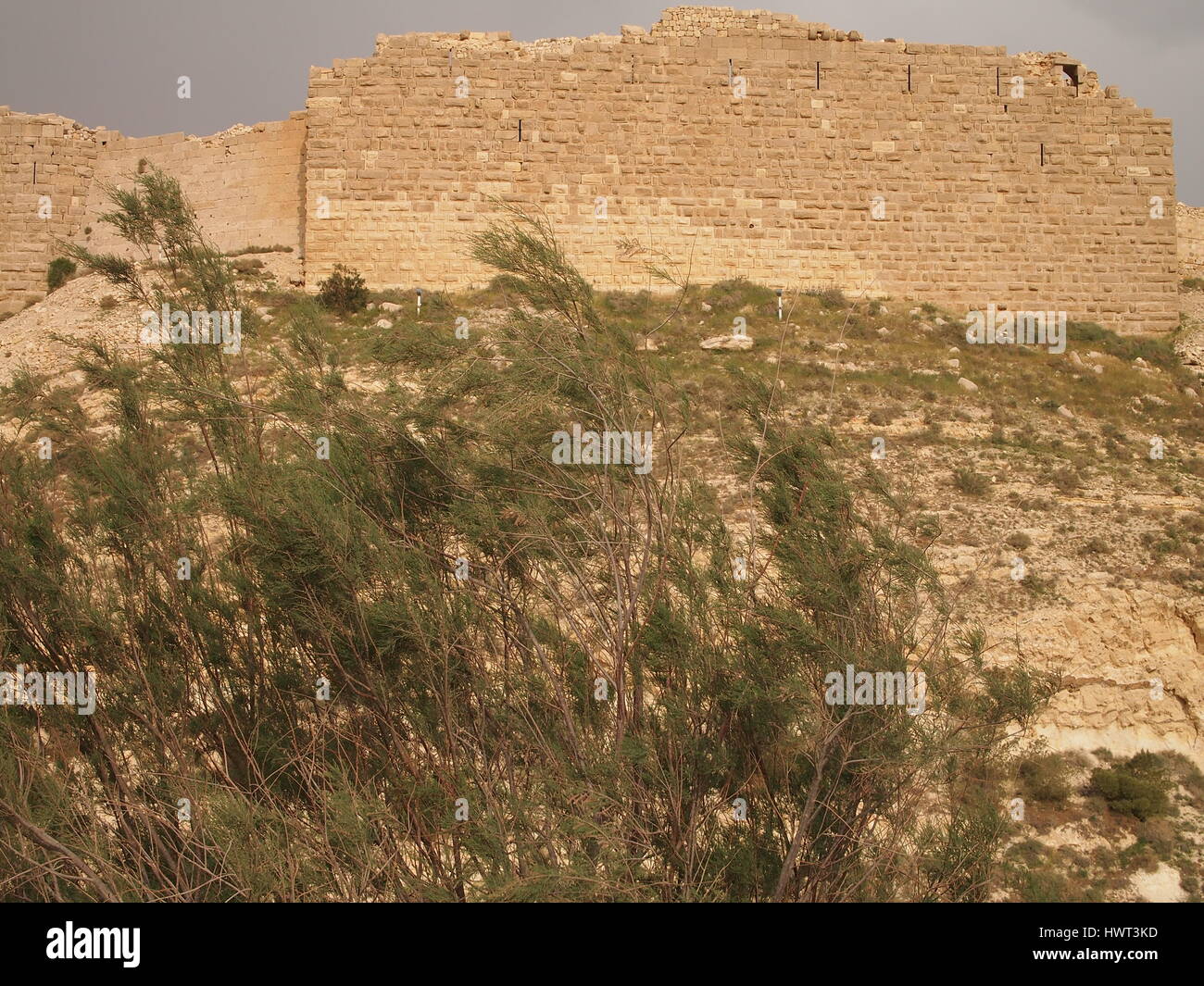 Ruins of Crusader castle Montreal in municipality Shoubak are called ...
