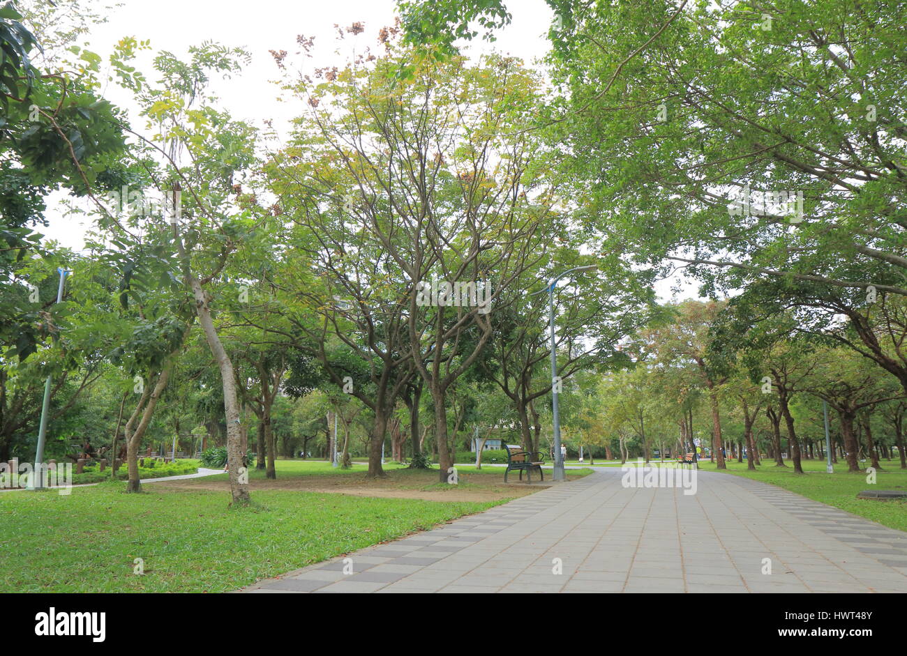 Daan Park in Taipei Taiwan Stock Photo - Alamy