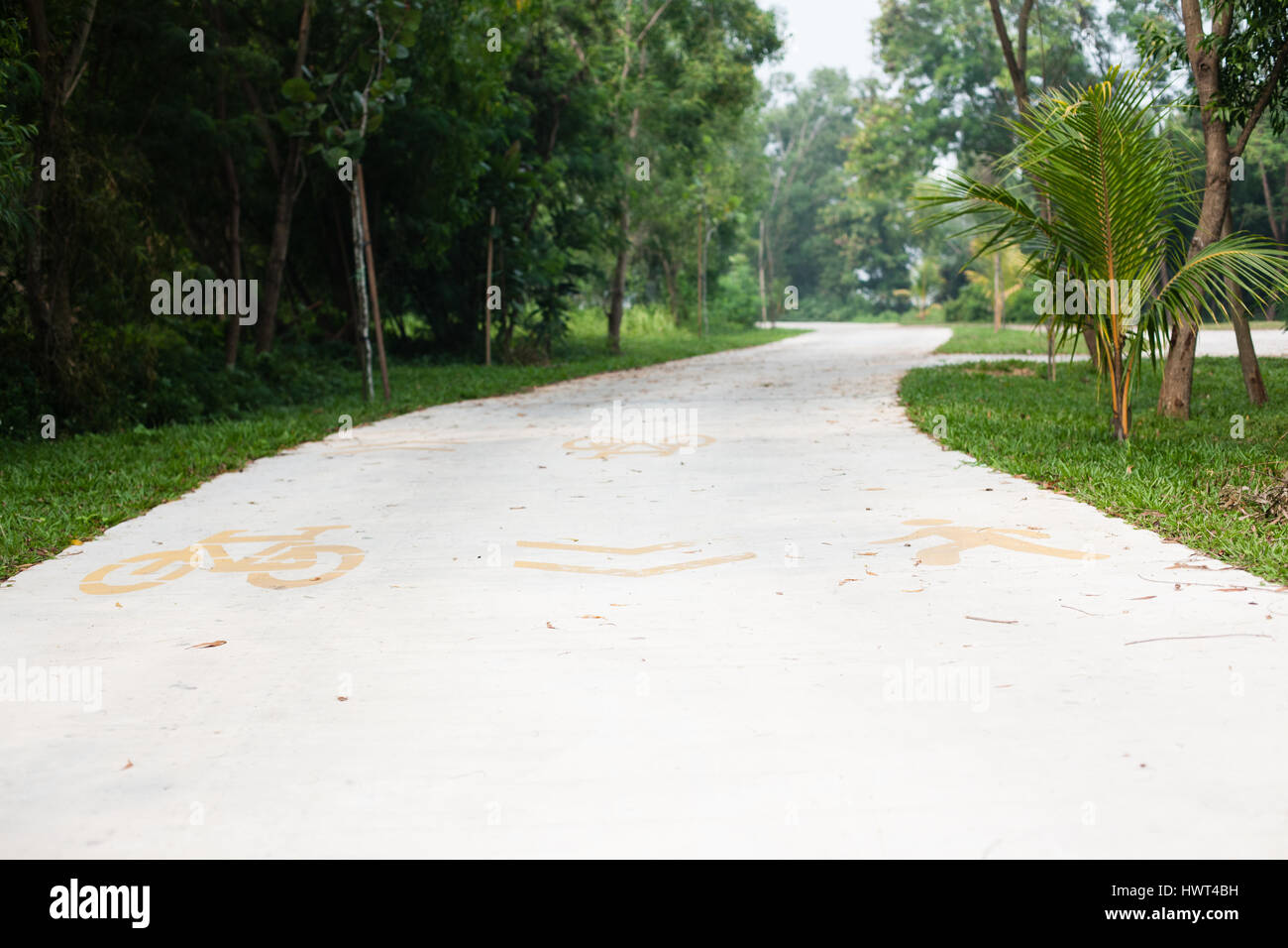 Bicycle treadmill road in tropic green park Malaysia Stock Photo - Alamy