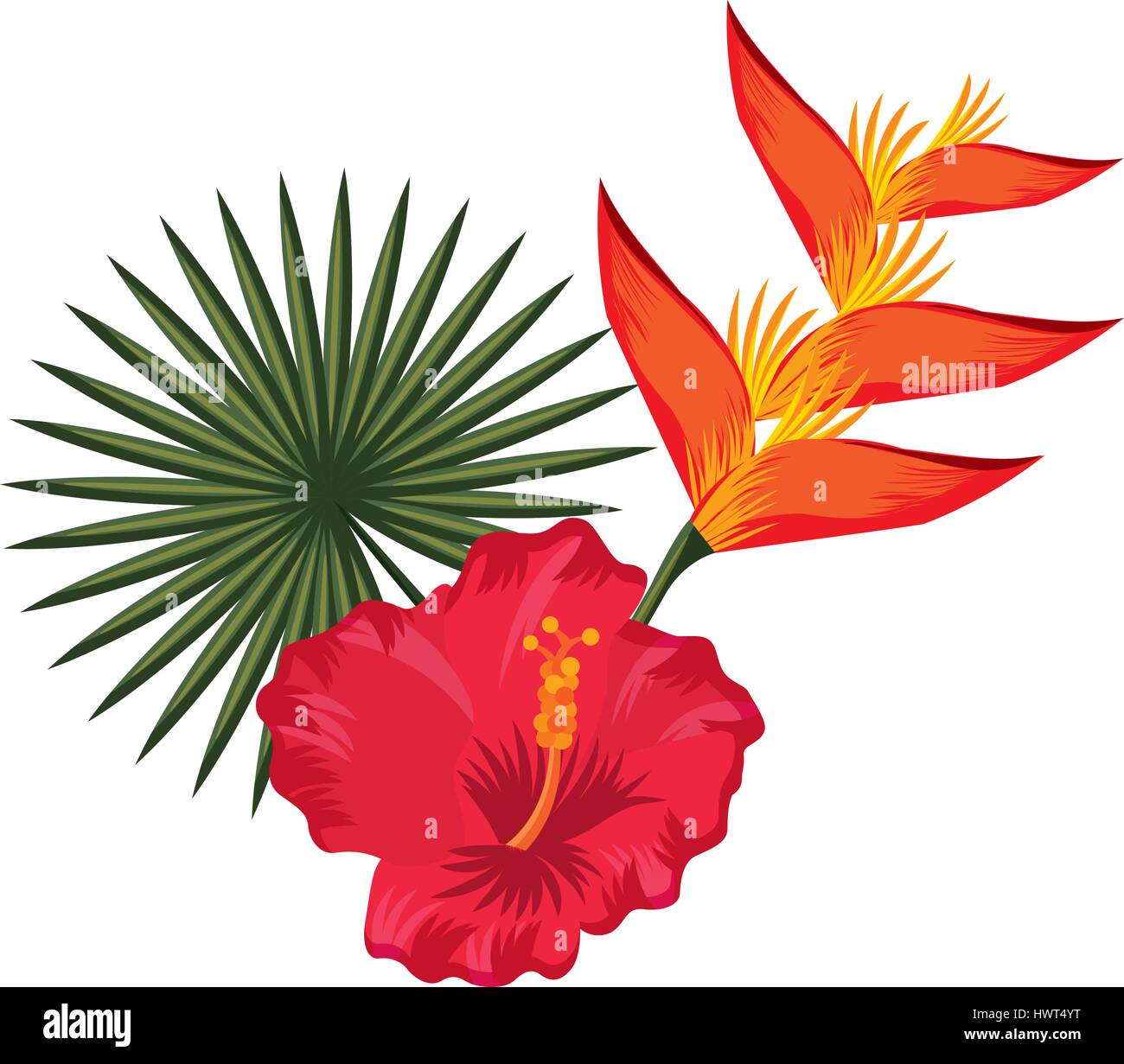 exotic and tropical flower icon Stock Vector Image & Art - Alamy