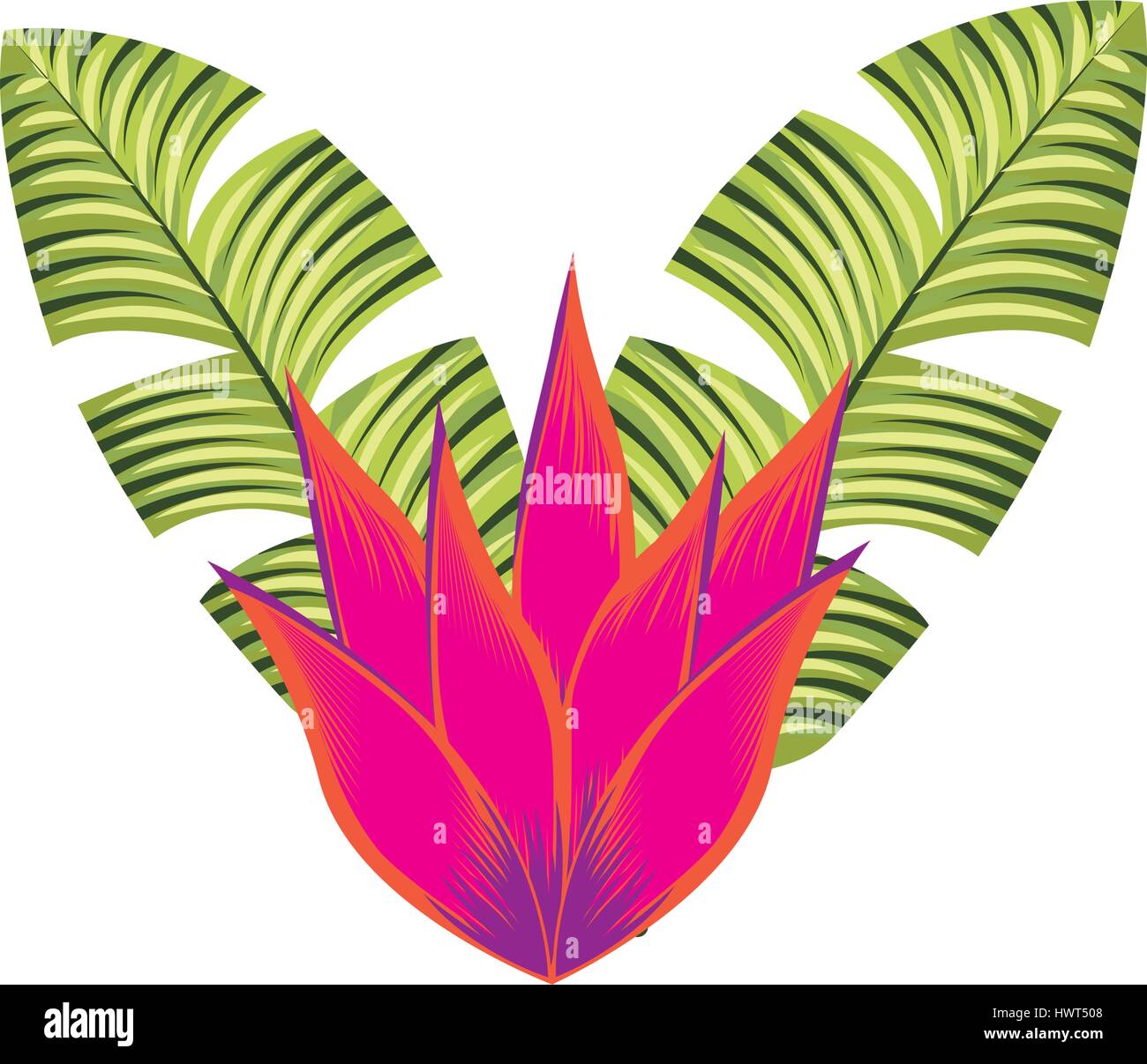 exotic and tropical flower icon Stock Vector Image & Art - Alamy