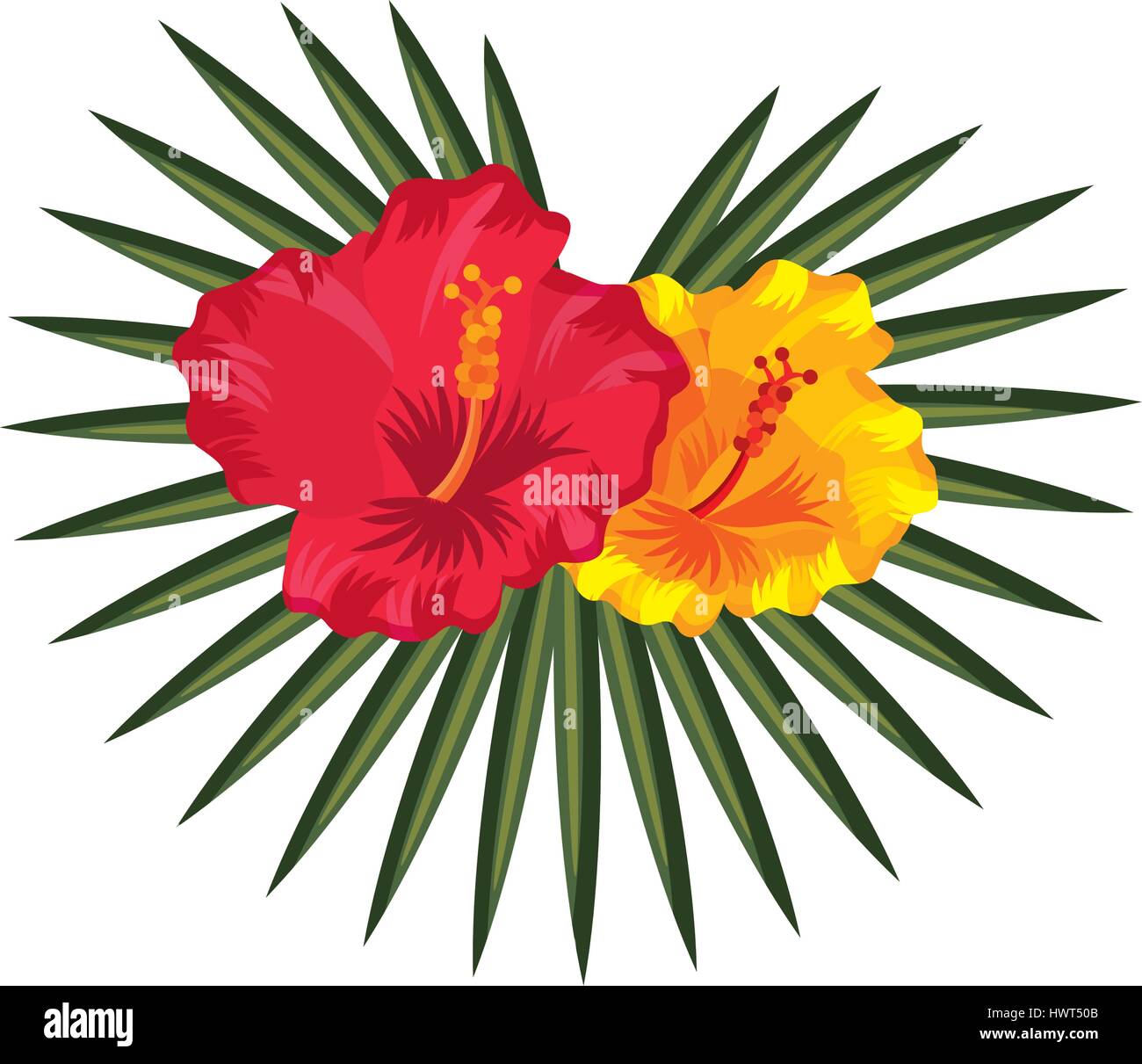 exotic and tropical flower icon Stock Vector Image & Art - Alamy