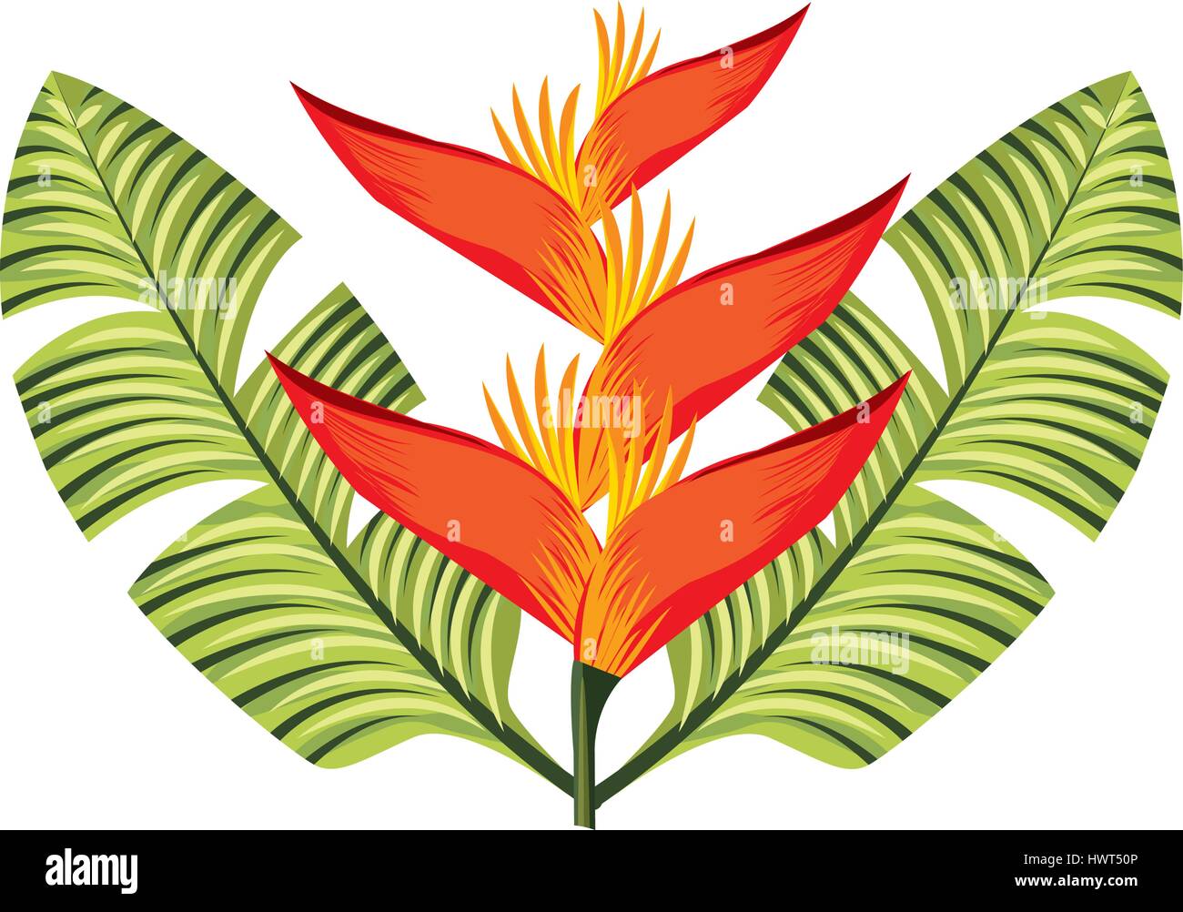 exotic and tropical flower icon Stock Vector Image & Art - Alamy
