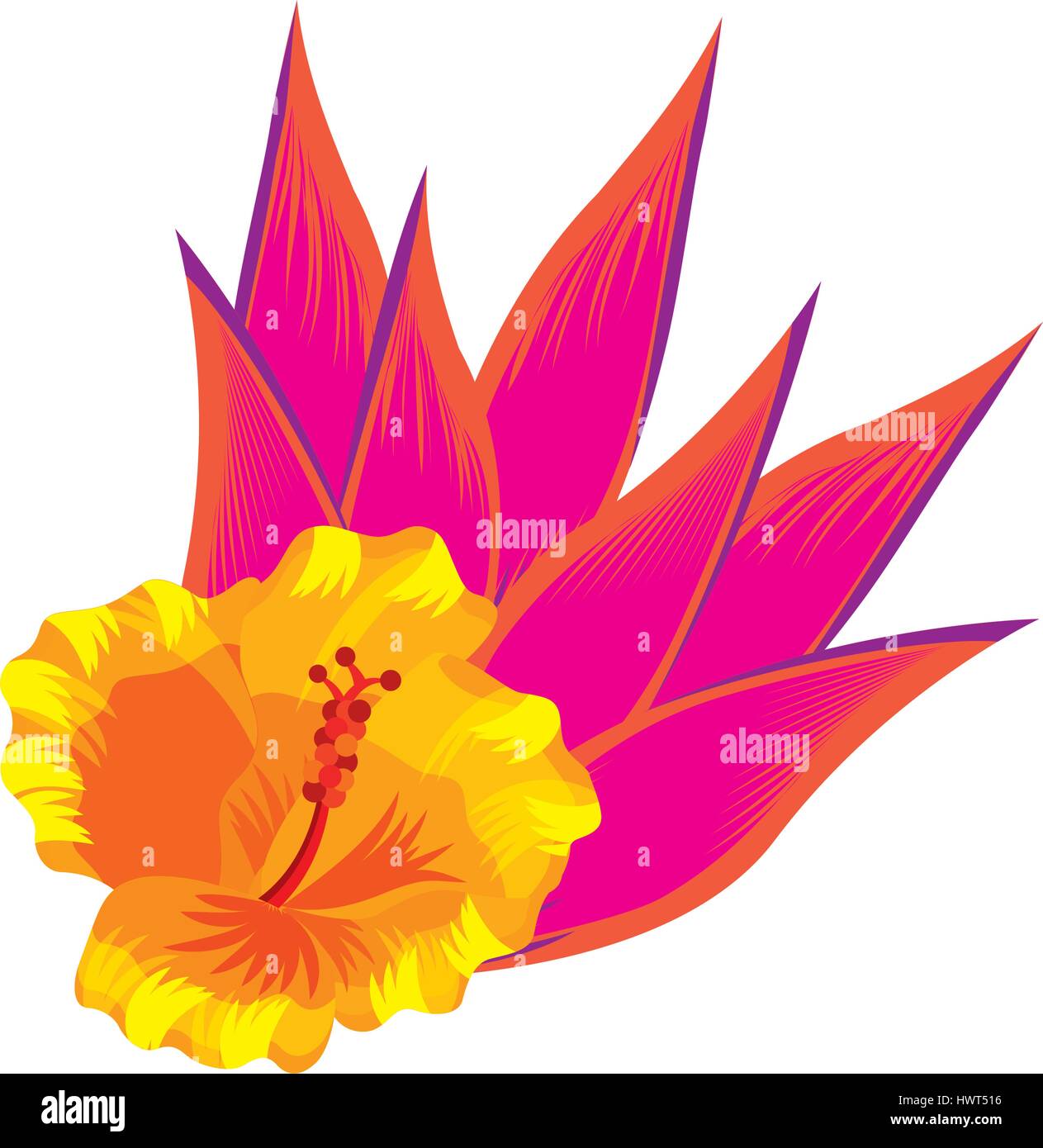 exotic and tropical flower icon Stock Vector Image & Art - Alamy