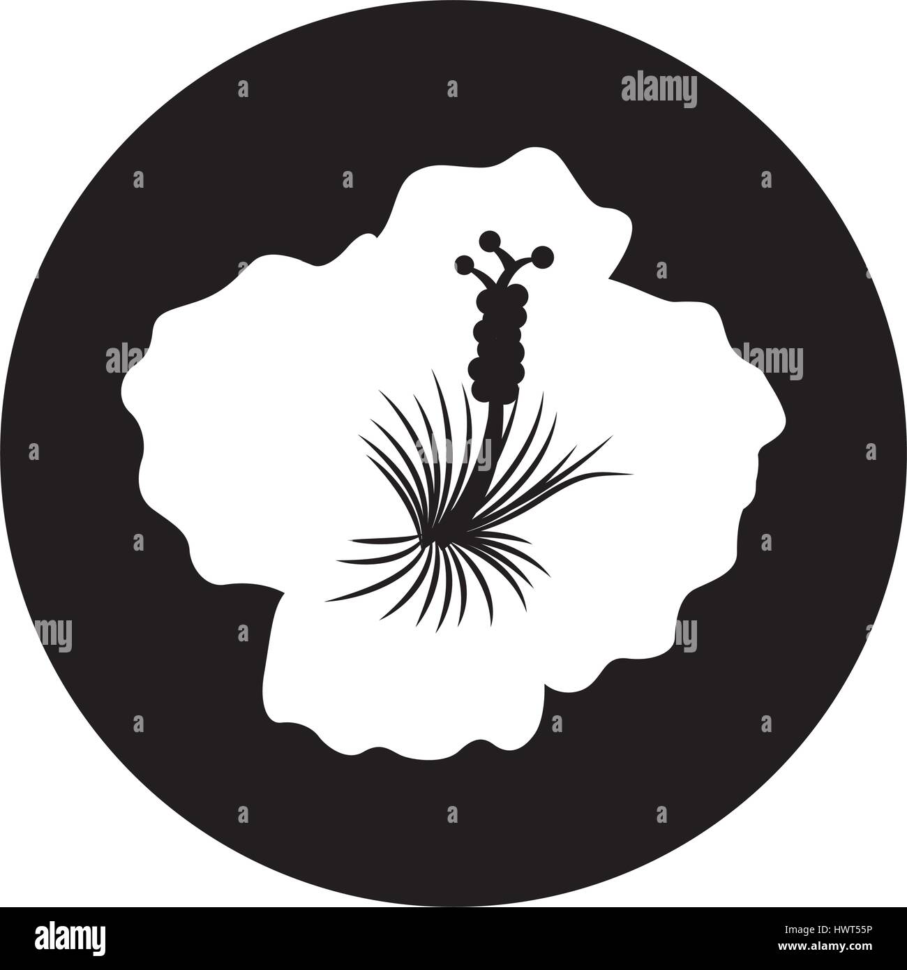 exotic and tropical flower icon Stock Vector Image & Art - Alamy