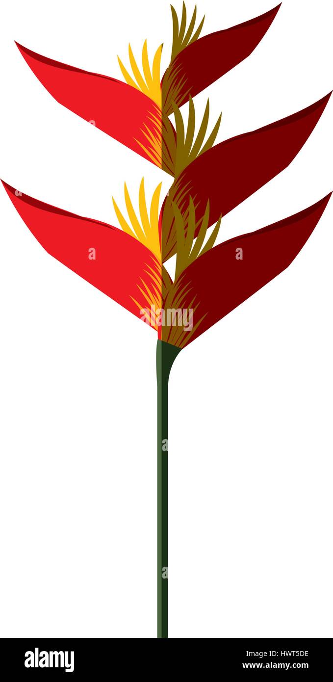 exotic and tropical flower icon Stock Vector Image & Art - Alamy