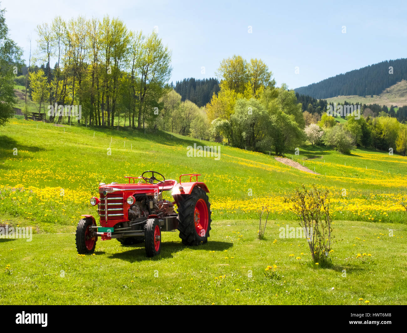 Surselva, Switzerland - May 14, 2015: Antique tractor parked on a lawn ...