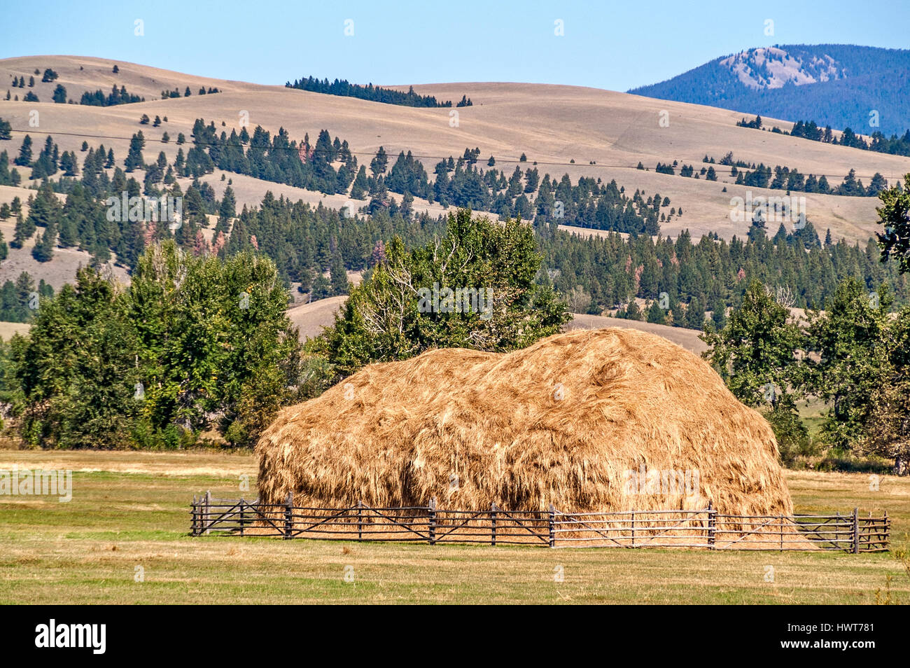 Hay stacked with beaver slide hi-res stock photography and images - Alamy