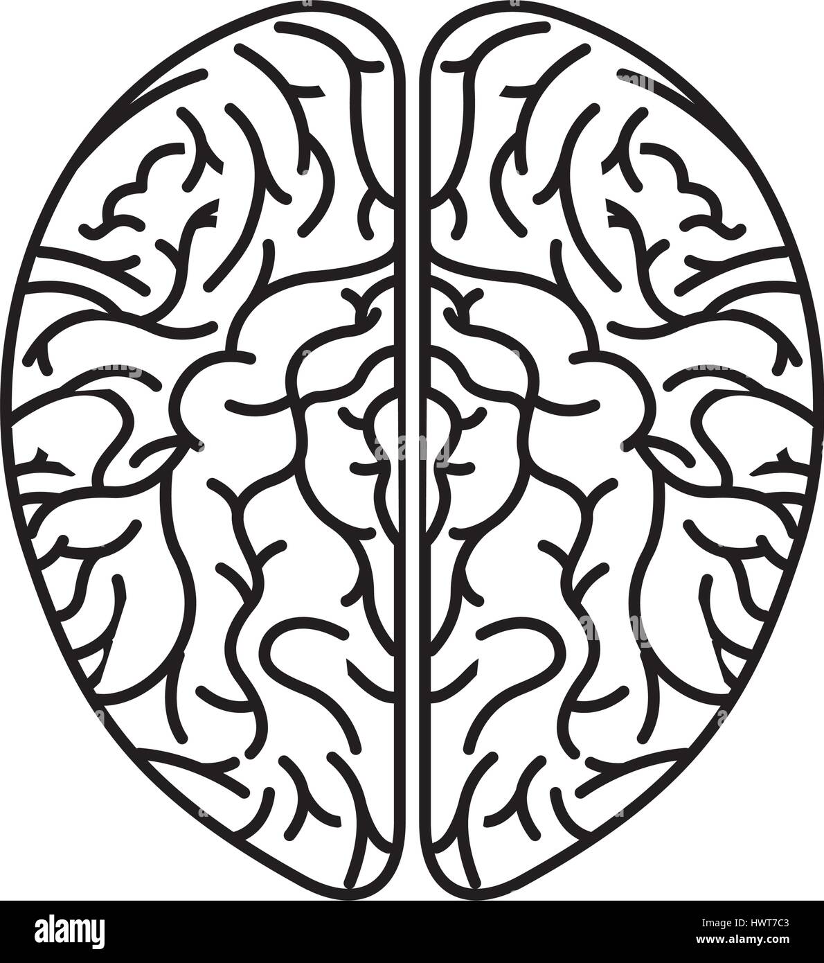 brain organ human icon Stock Vector Image & Art - Alamy