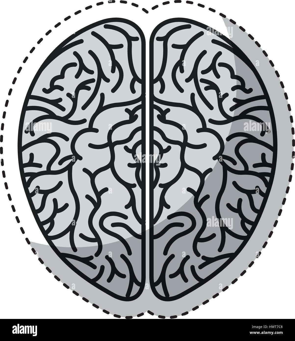 brain organ human icon Stock Vector Image & Art - Alamy