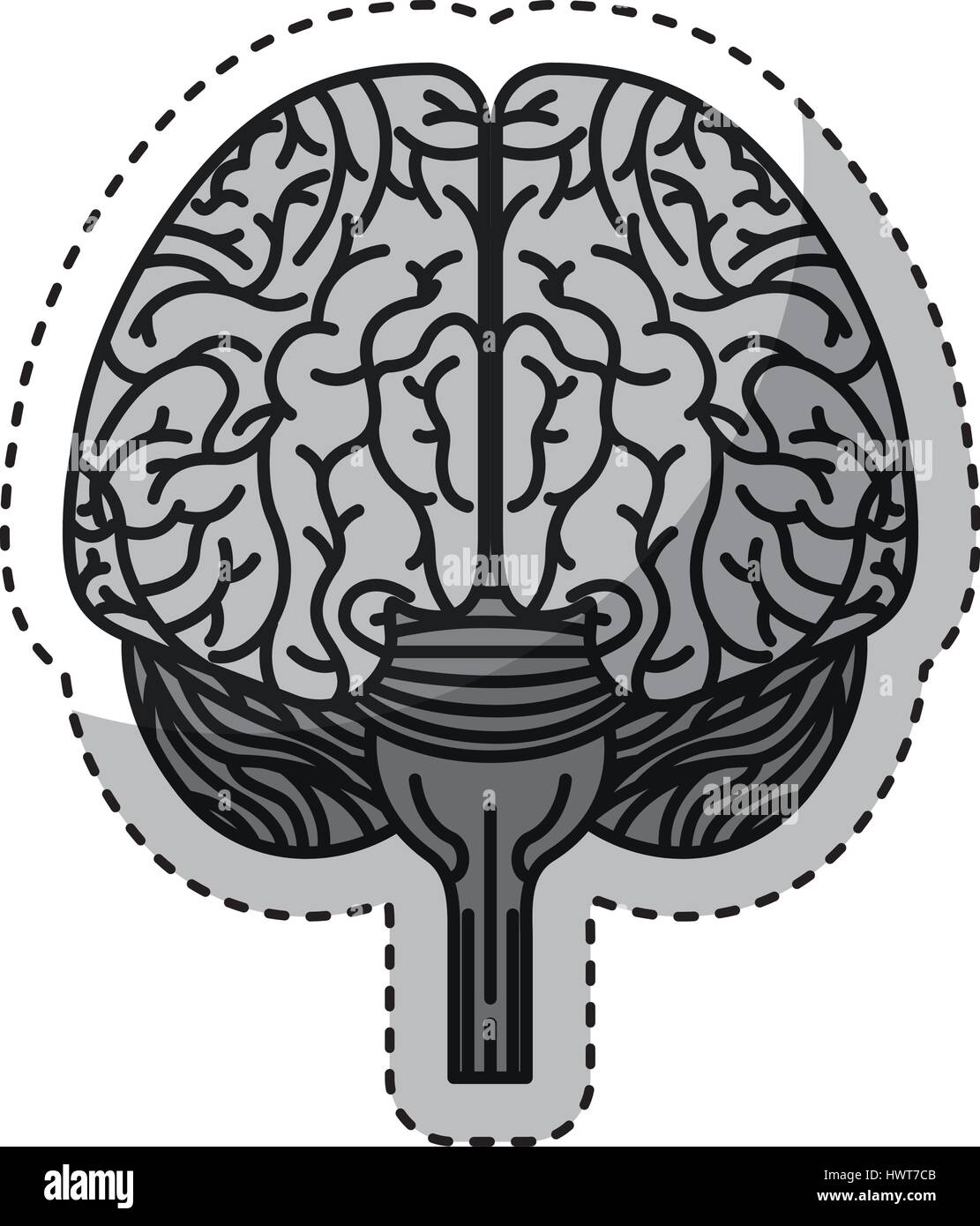 brain organ human icon Stock Vector Image & Art - Alamy