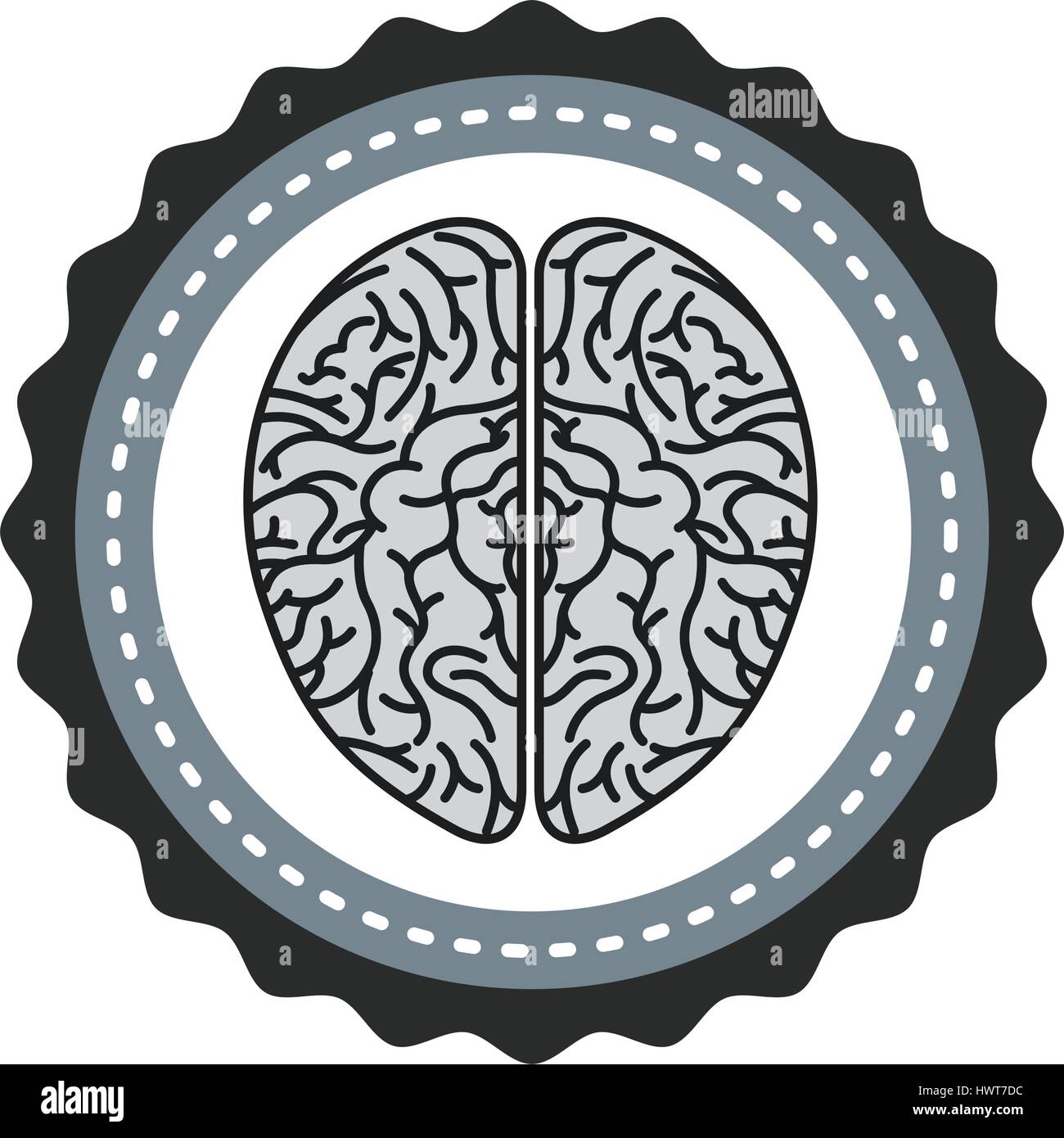 brain organ human icon Stock Vector Image & Art - Alamy