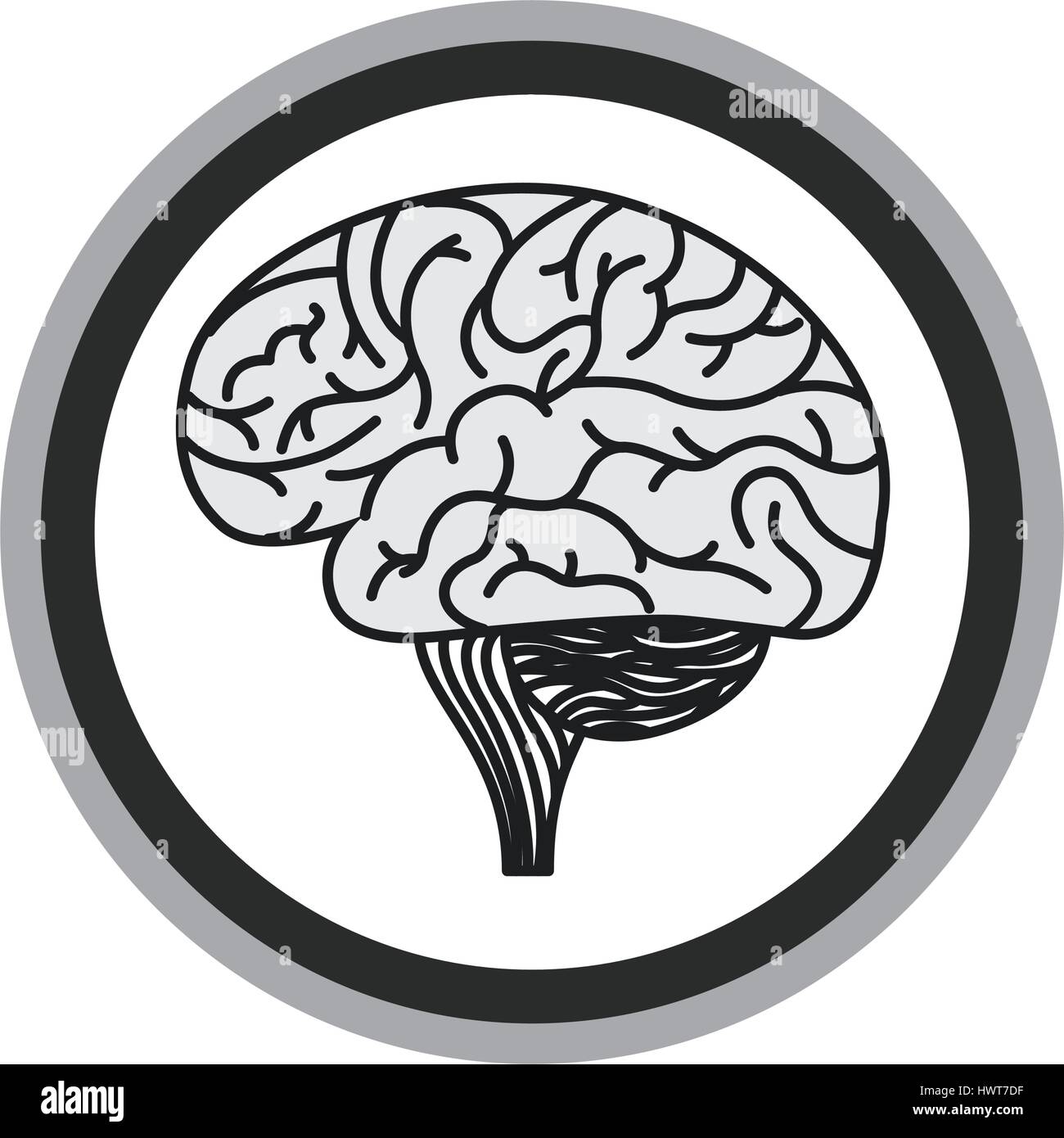 brain organ human icon Stock Vector Image & Art - Alamy