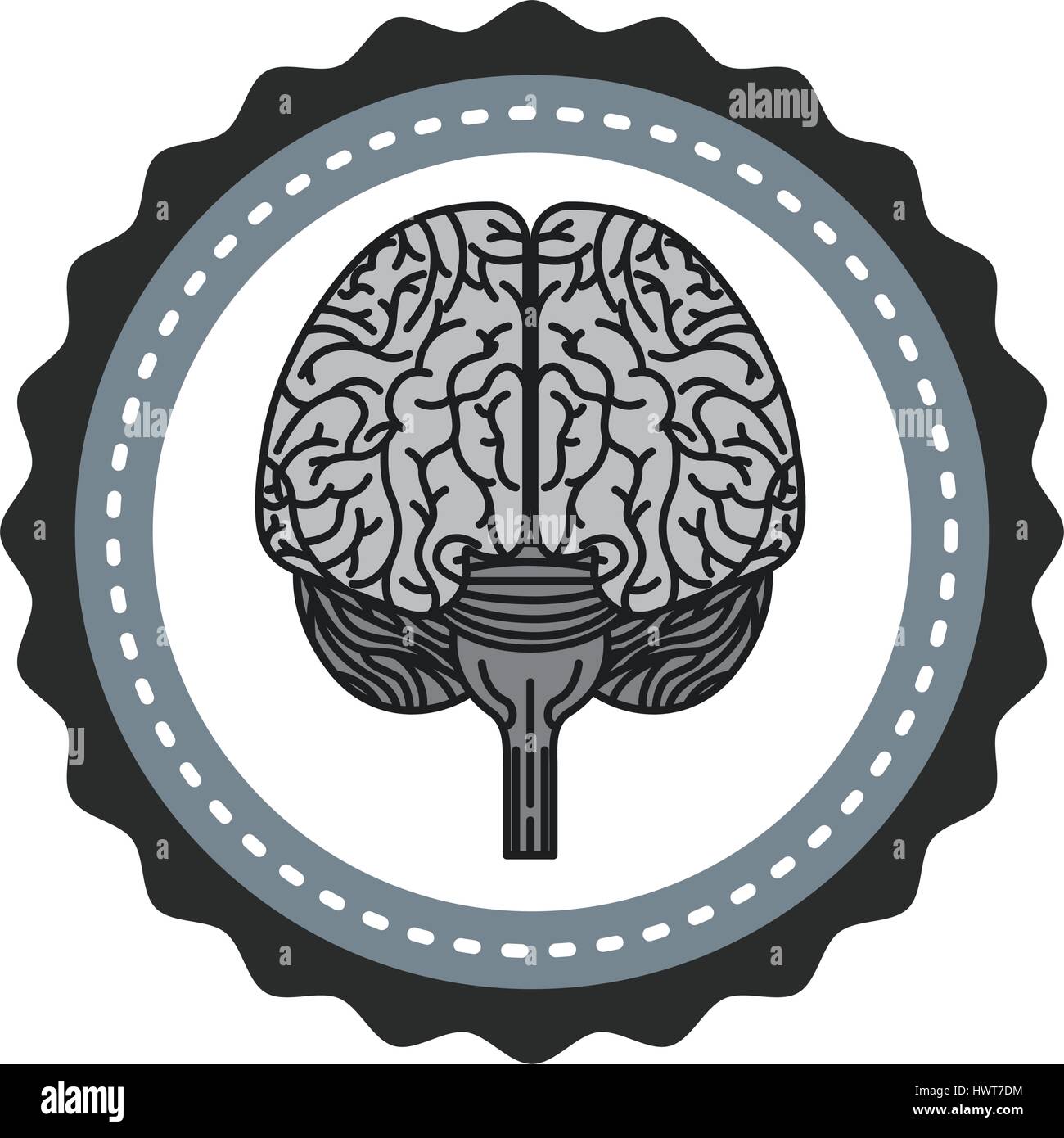 brain organ human icon Stock Vector Image & Art - Alamy