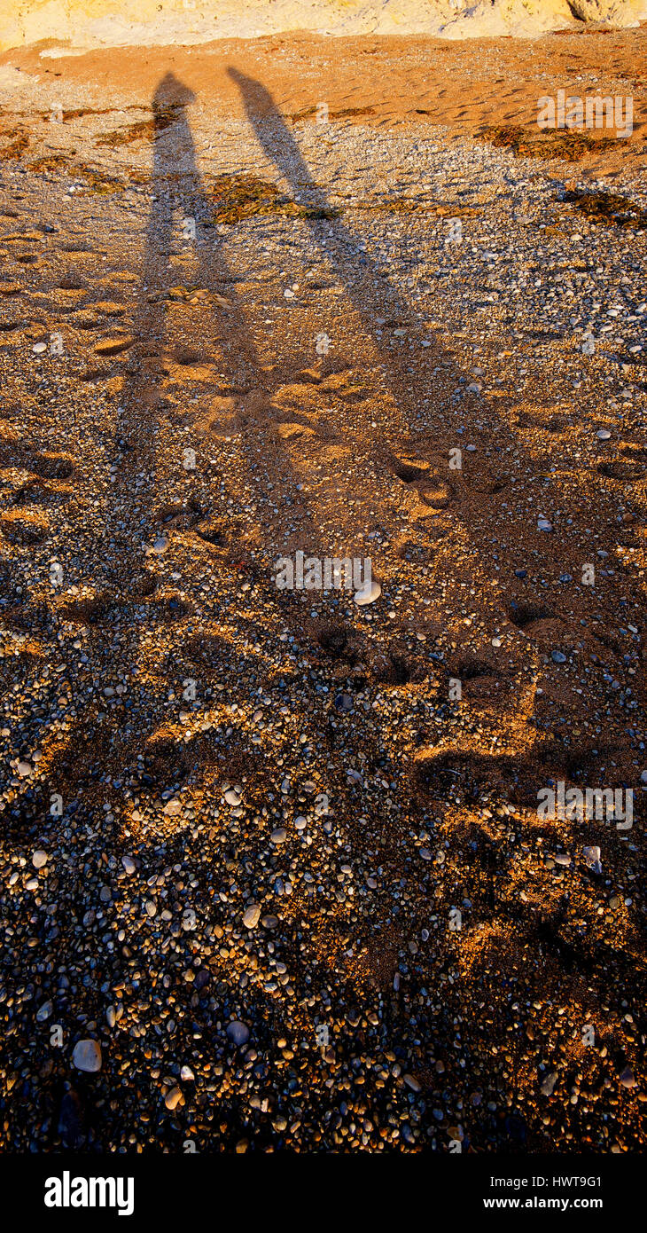 Long shadows of two people on the beach at sunrise Stock Photo - Alamy