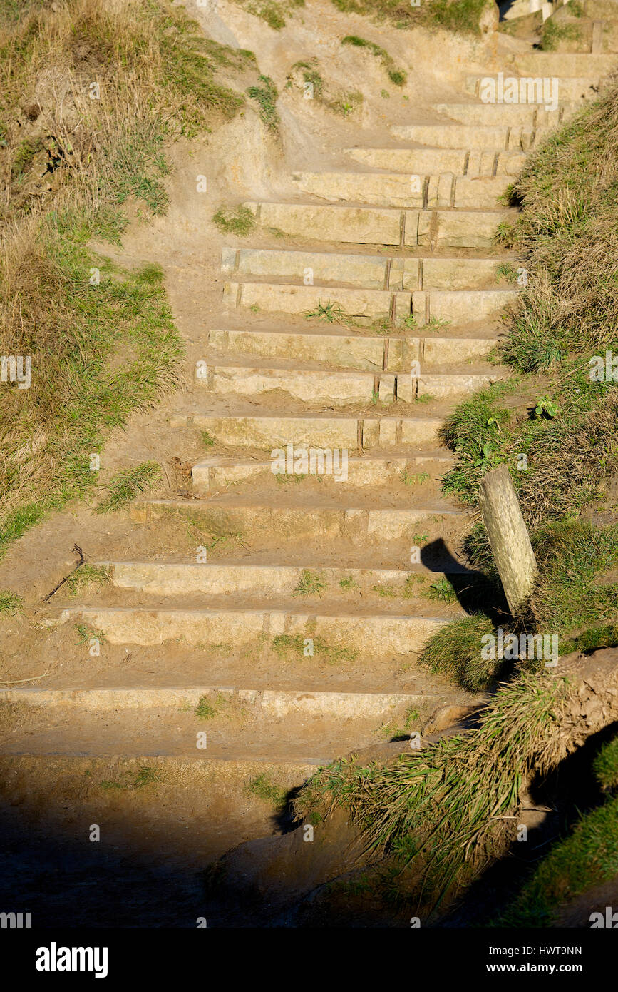 Steps going up in the country Stock Photo - Alamy