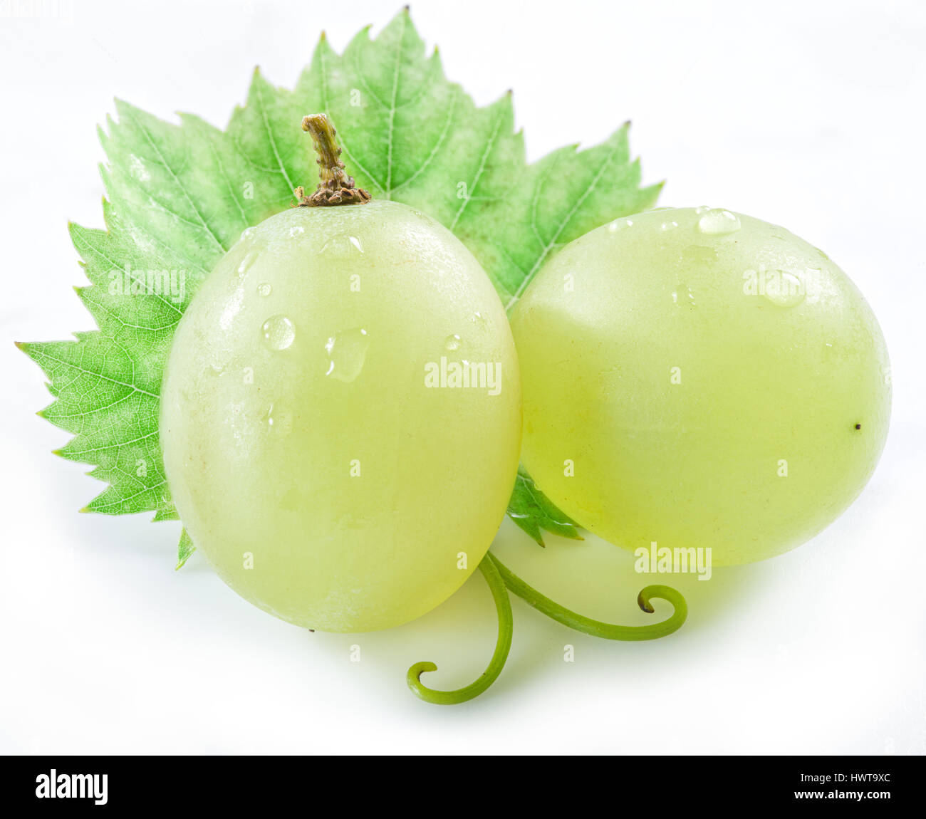 Two grapes with small leaf on the white background Stock Photo - Alamy