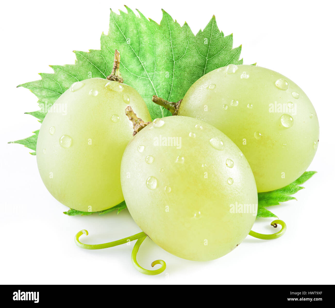 Three grapes with leaf on the white background Stock Photo - Alamy