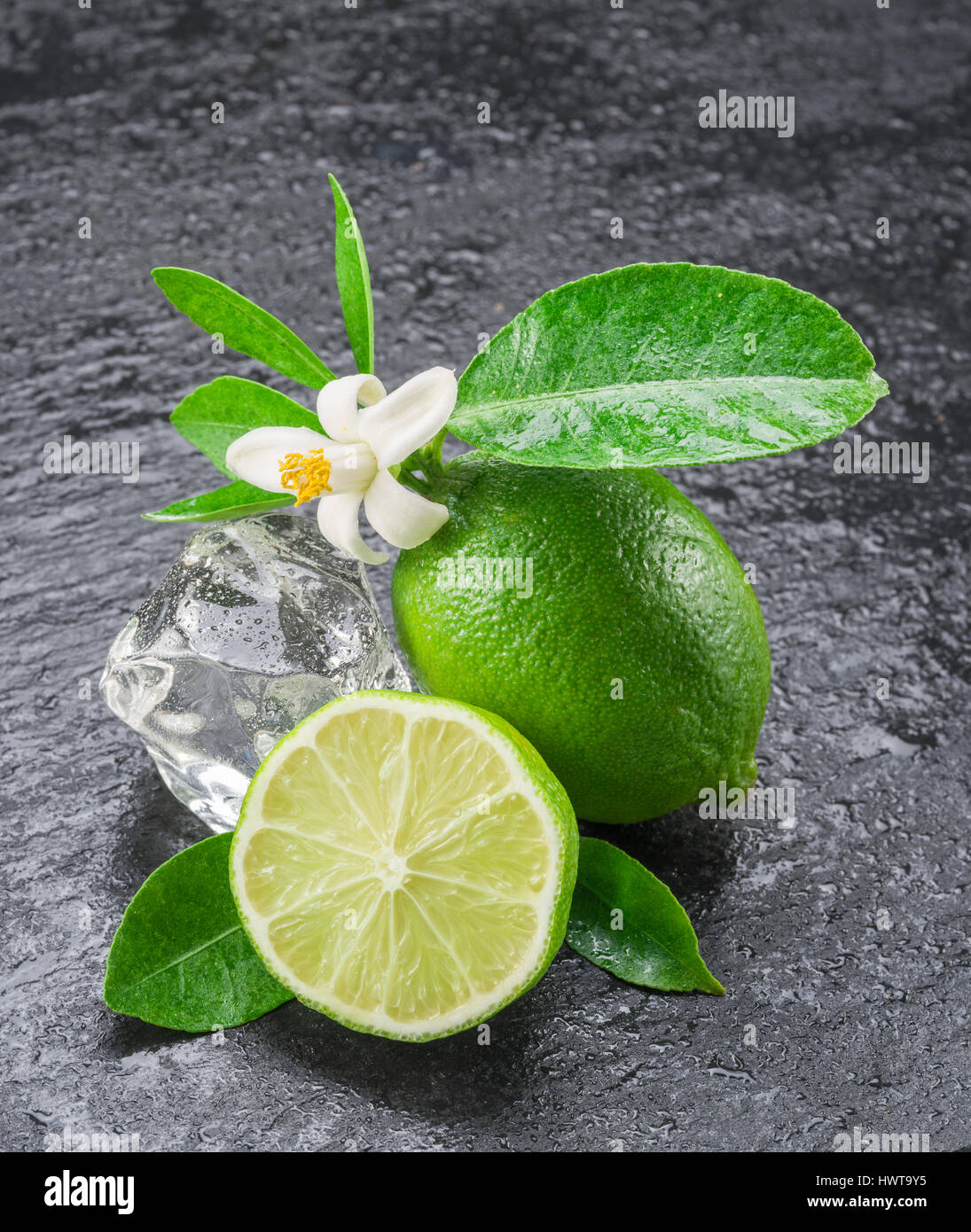 Lime gray background hi-res stock photography and images - Alamy